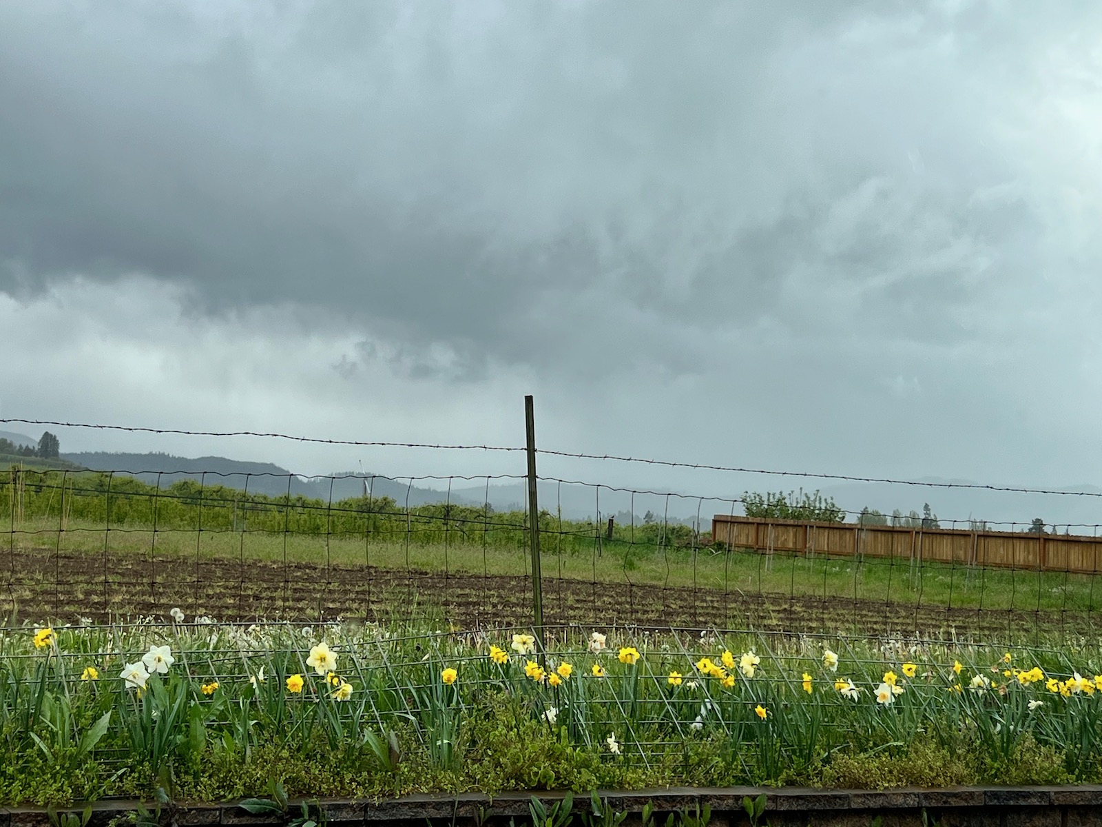 Waiting for Warmth to Plant – Wishful Thinking Farm